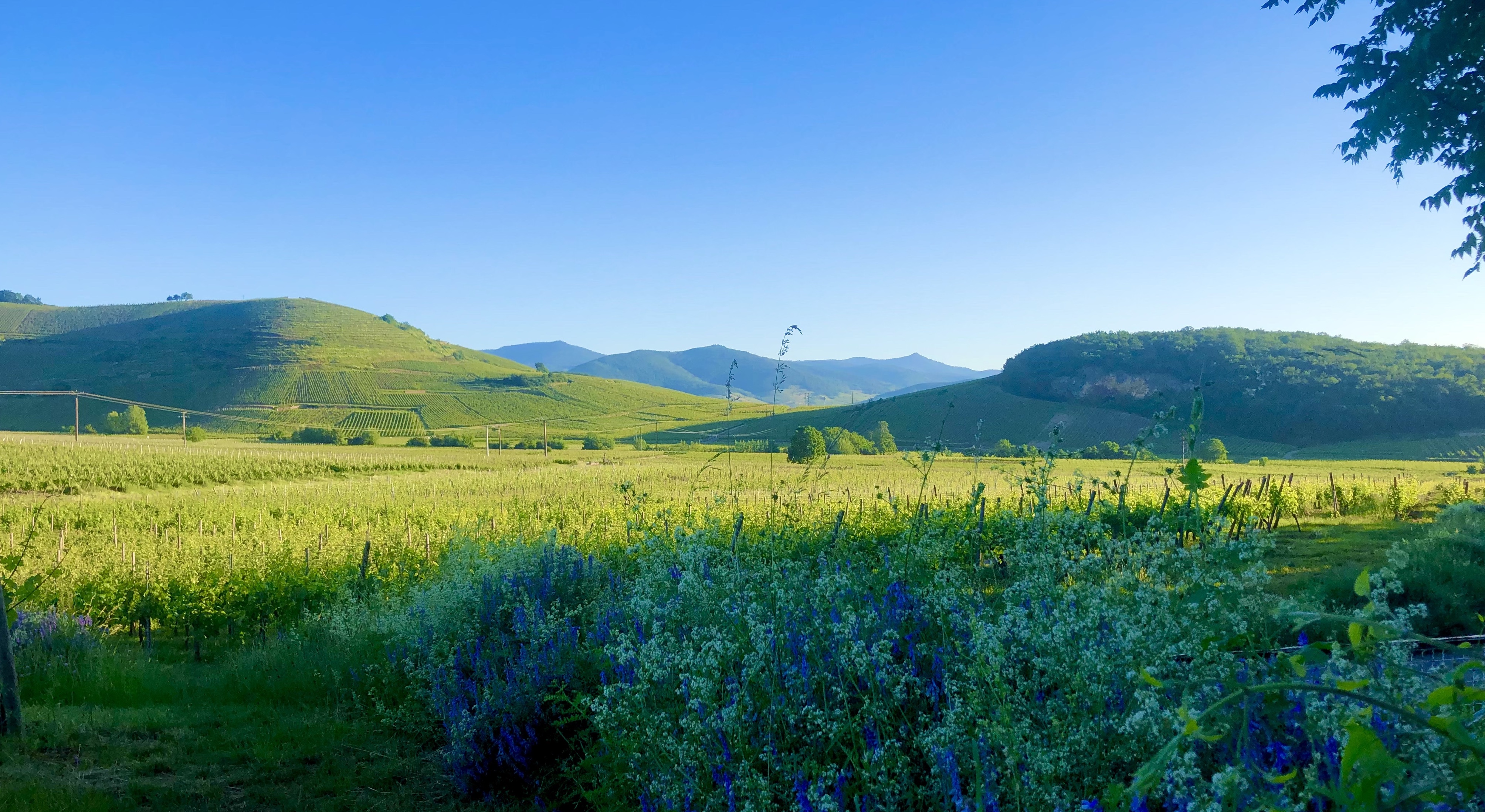 Le Florimont: quand le génie humain sublime la beauté naturelle ...