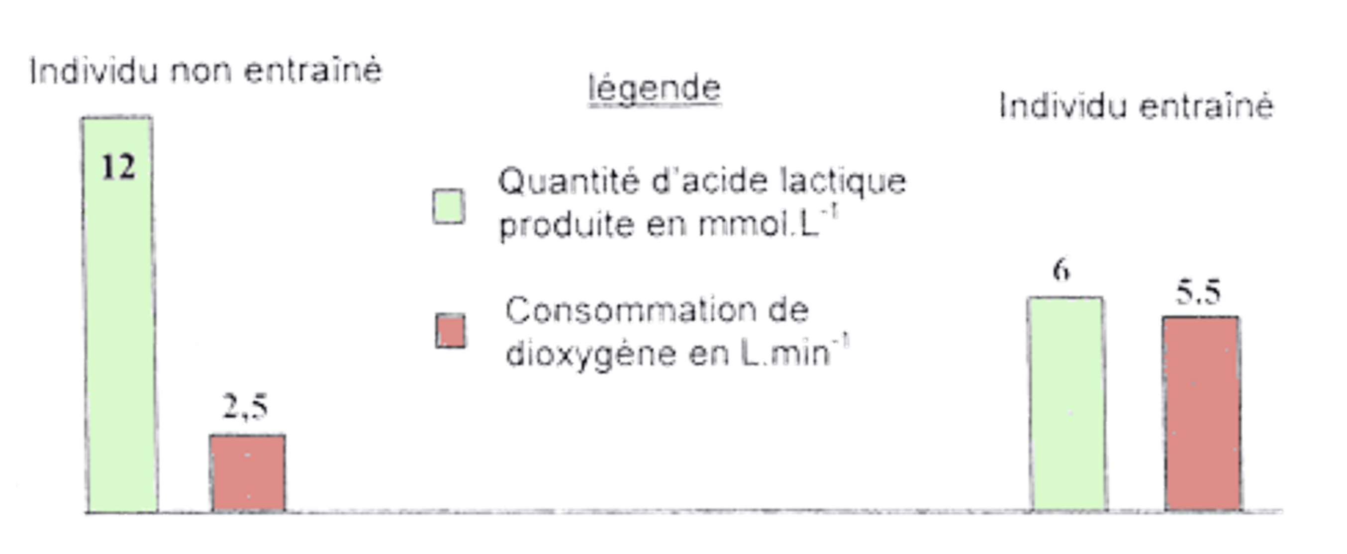 Chapitre 6/La cellule musculaire, une structure dédiée à la contraction ...