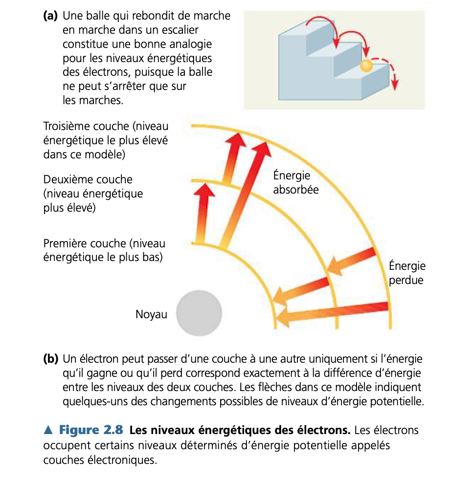 1ere ES/Chapitre 4/L’énergie dans le monde vivant – Innover en SVT