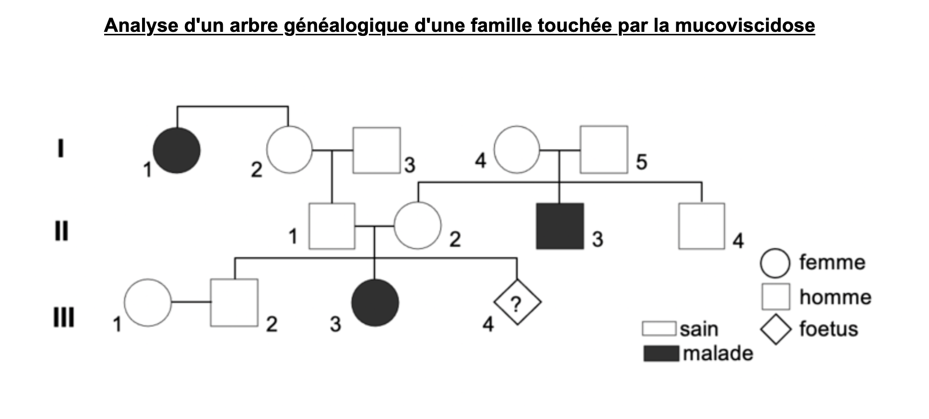Tspé SVT/Chapitre 12/ L’origine du génotype des individus – Innover en SVT