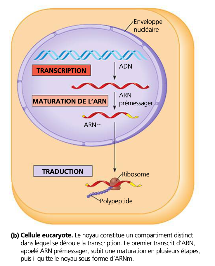 capture-decc81cran-2022-03-24-acc80-09.08.04