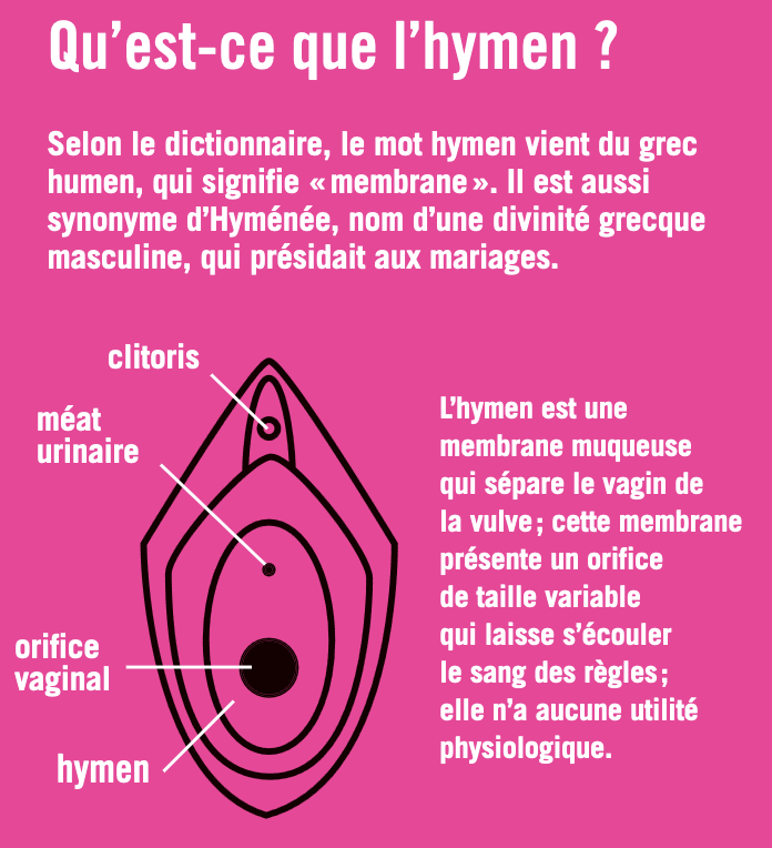 L’hymen, en finir avec les idées reçues ! – Innover en SVT