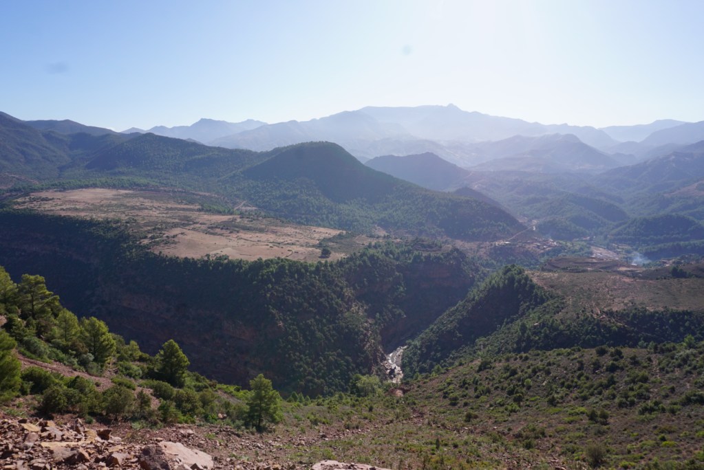 2nde SVT/TP/Analyser un sol forestier – Innover en SVT