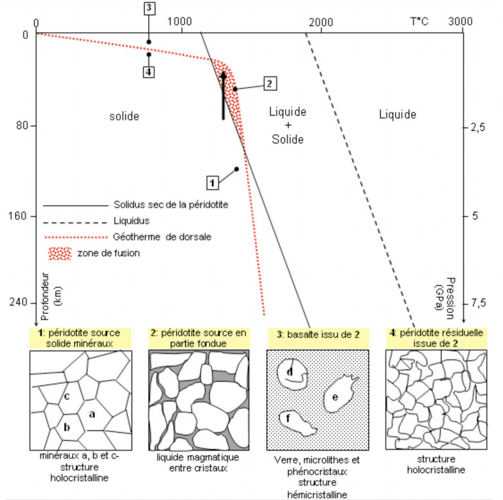 Chapitre 4/L’origine et l’évolution du plancher océanique – Innover en SVT