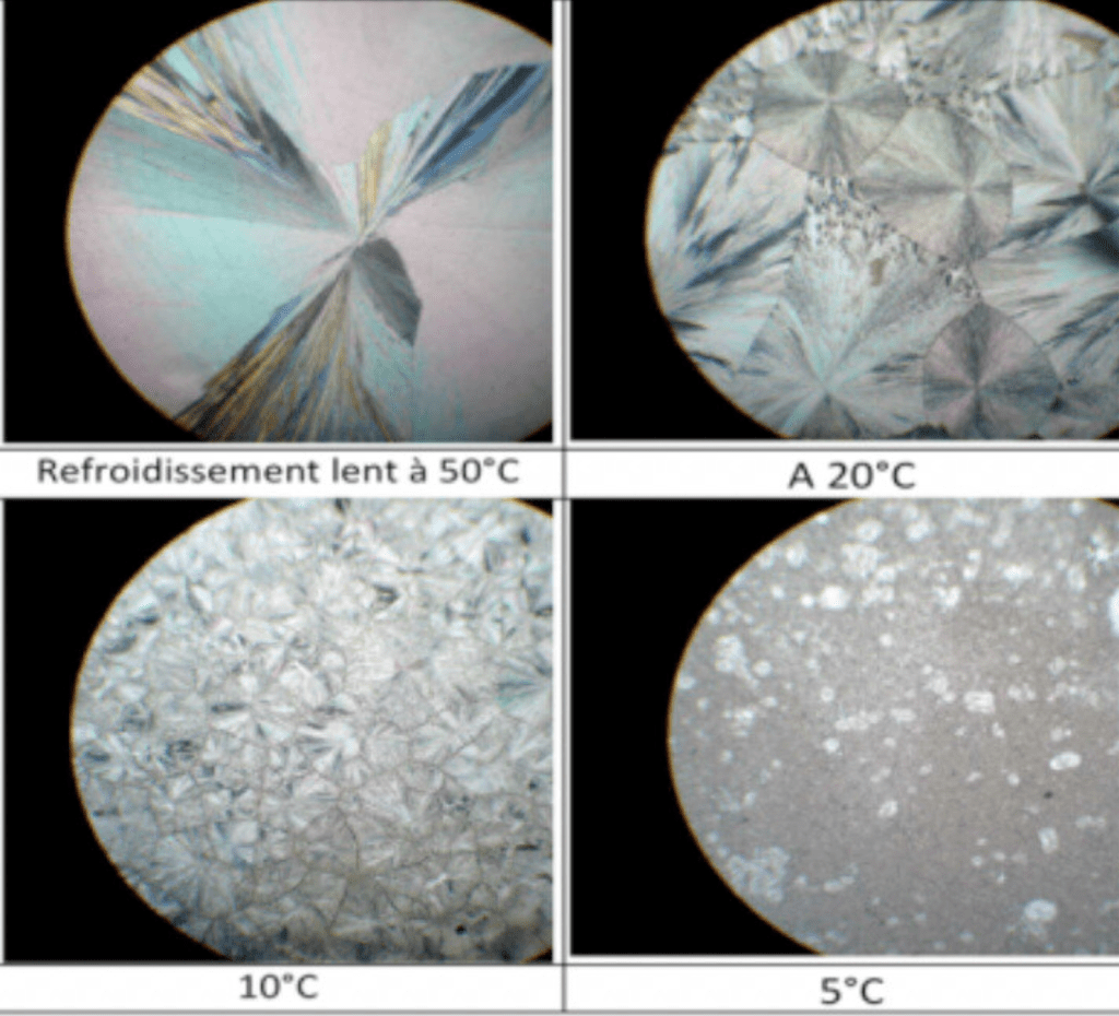1ere Spé SVT/TP/Comprendre l’effet de la vitesse de refroidissement sur ...